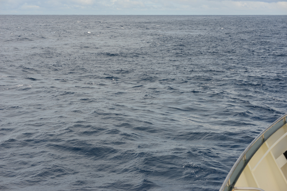 Catching a Ride on the Leeuwin Current - Centre for Whale Research