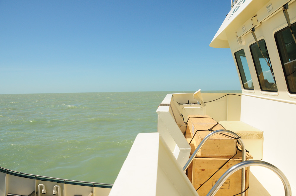 Cetacean Season 2015 - Centre for Whale Research